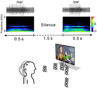 Frontiers | The effect of noise on the cortical activity patterns of speech processing in adults ...